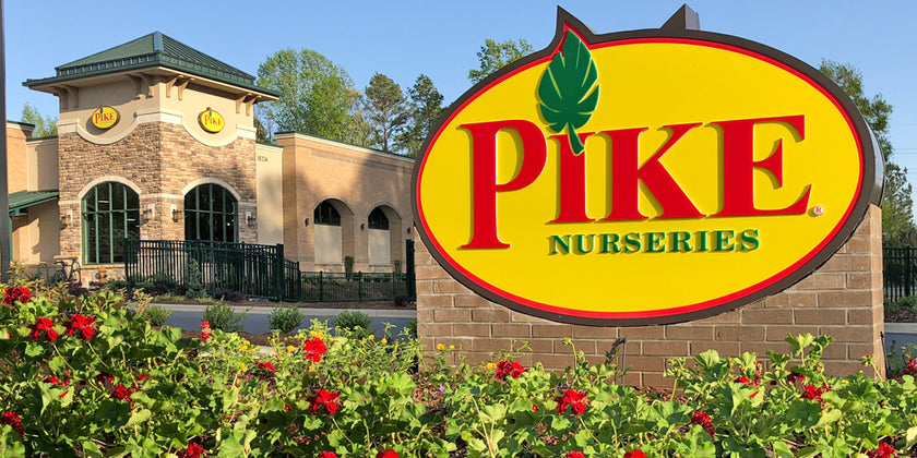 Titan Rx Turf Type Fescue - 25 Lb – Pike Nursery