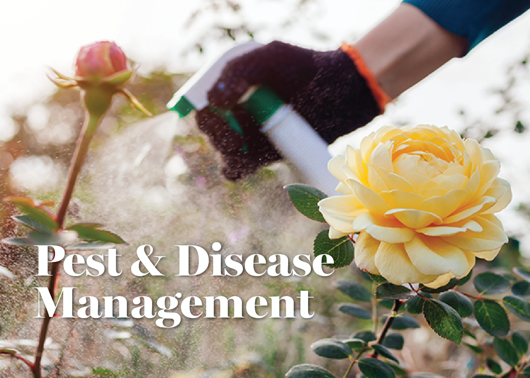 Lawn & Garden ProCare Service – Pike Nursery