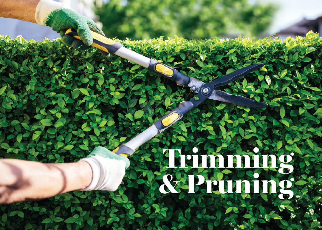 Lawn & Garden ProCare Service – Pike Nursery