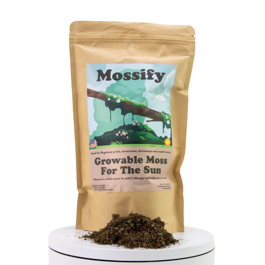 Growable Moss for Sun – Pike Nursery