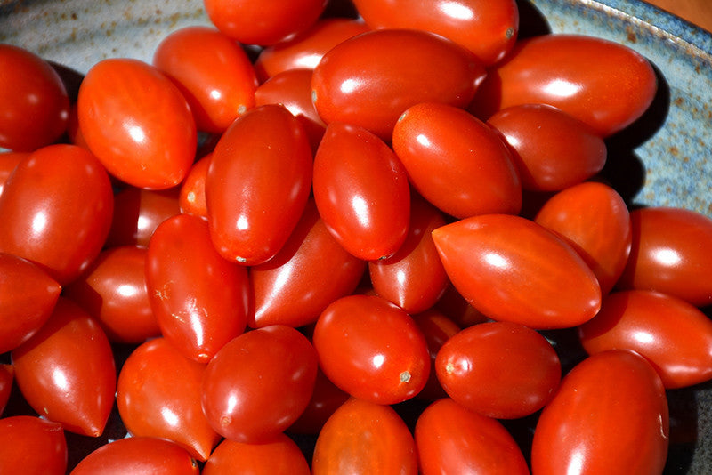 Red Grape Tomato – Pike Nursery