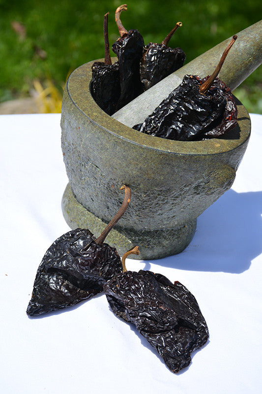 PEPPER ANCHO PEPPER – Pike Nursery