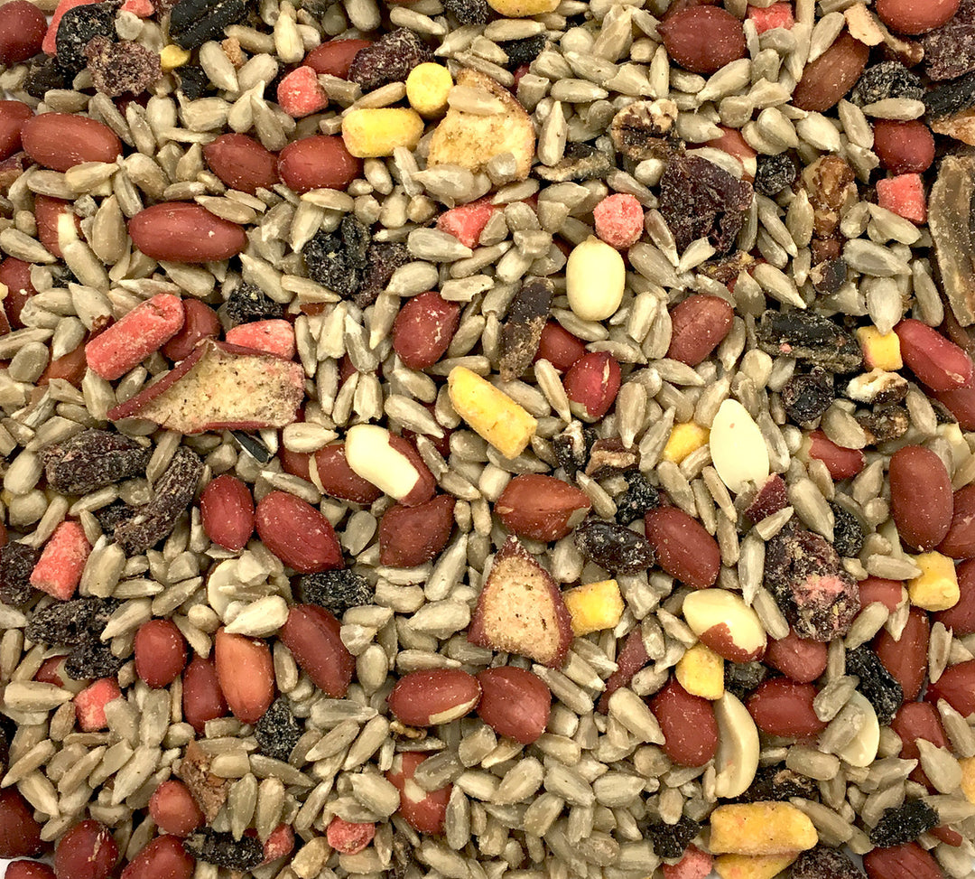 Coles Nutberry Suet Blend - 5 lbs – Pike Nursery