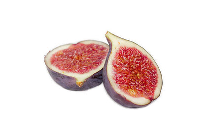 fruit trees – Pike Nursery