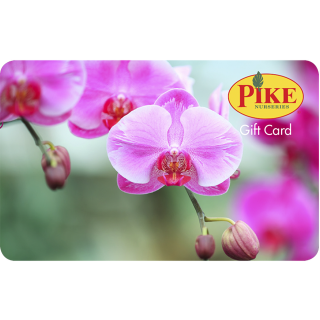 gift cards – Pike Nursery