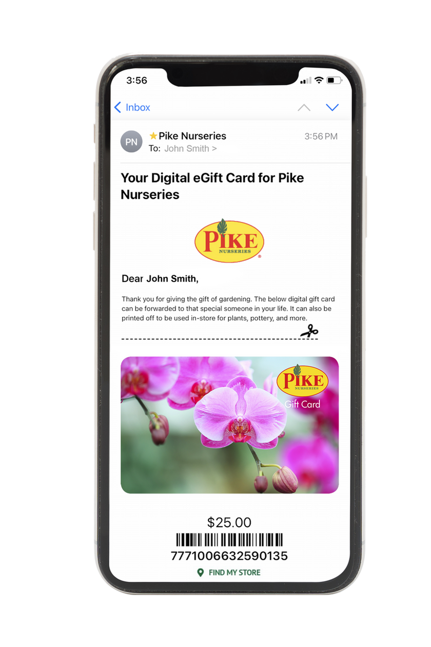 Gift Card by Email – Pike Nursery