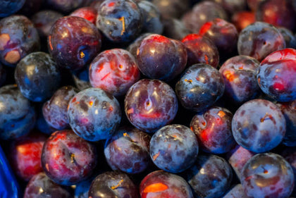 Spring Satin Plumcot – Pike Nursery