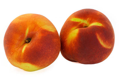 fruit trees – Pike Nursery